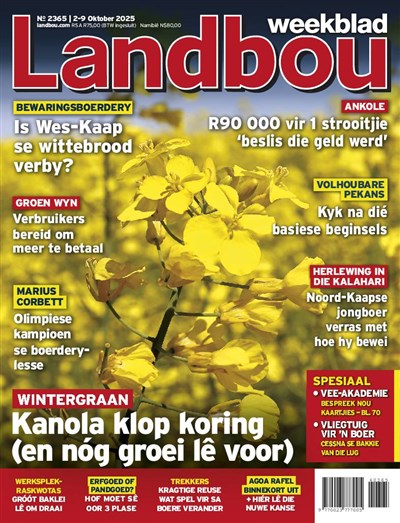 Die beste hoenderkerrie | Landbou