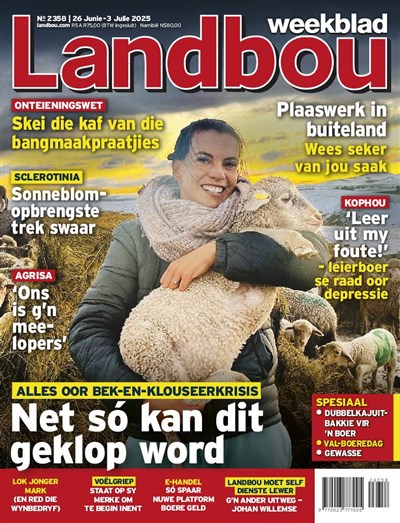 Die beste hoenderkerrie | Landbou