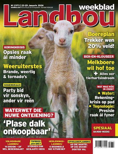 Muggies, sandvlieë en muskiete | Landbou